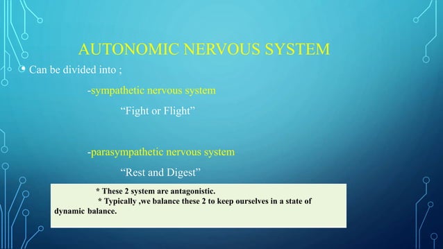 Nervous system ppt | PPT