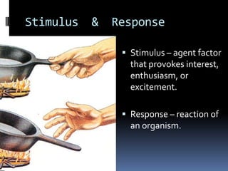 Nervous system | PPTX