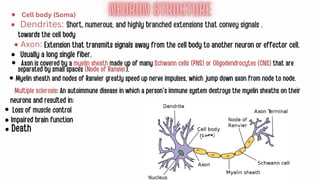 Nervous system in application physiology | PPT