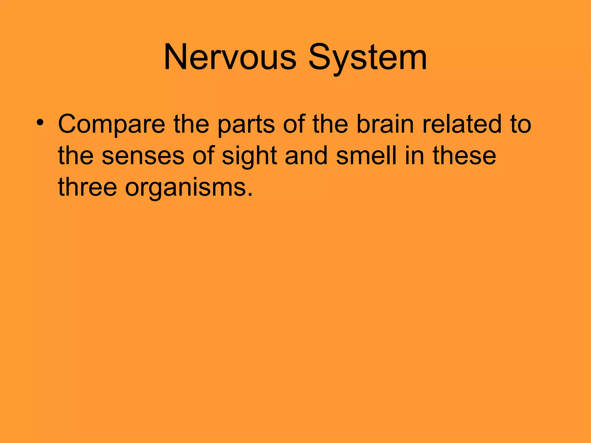 Nervous System | PPT