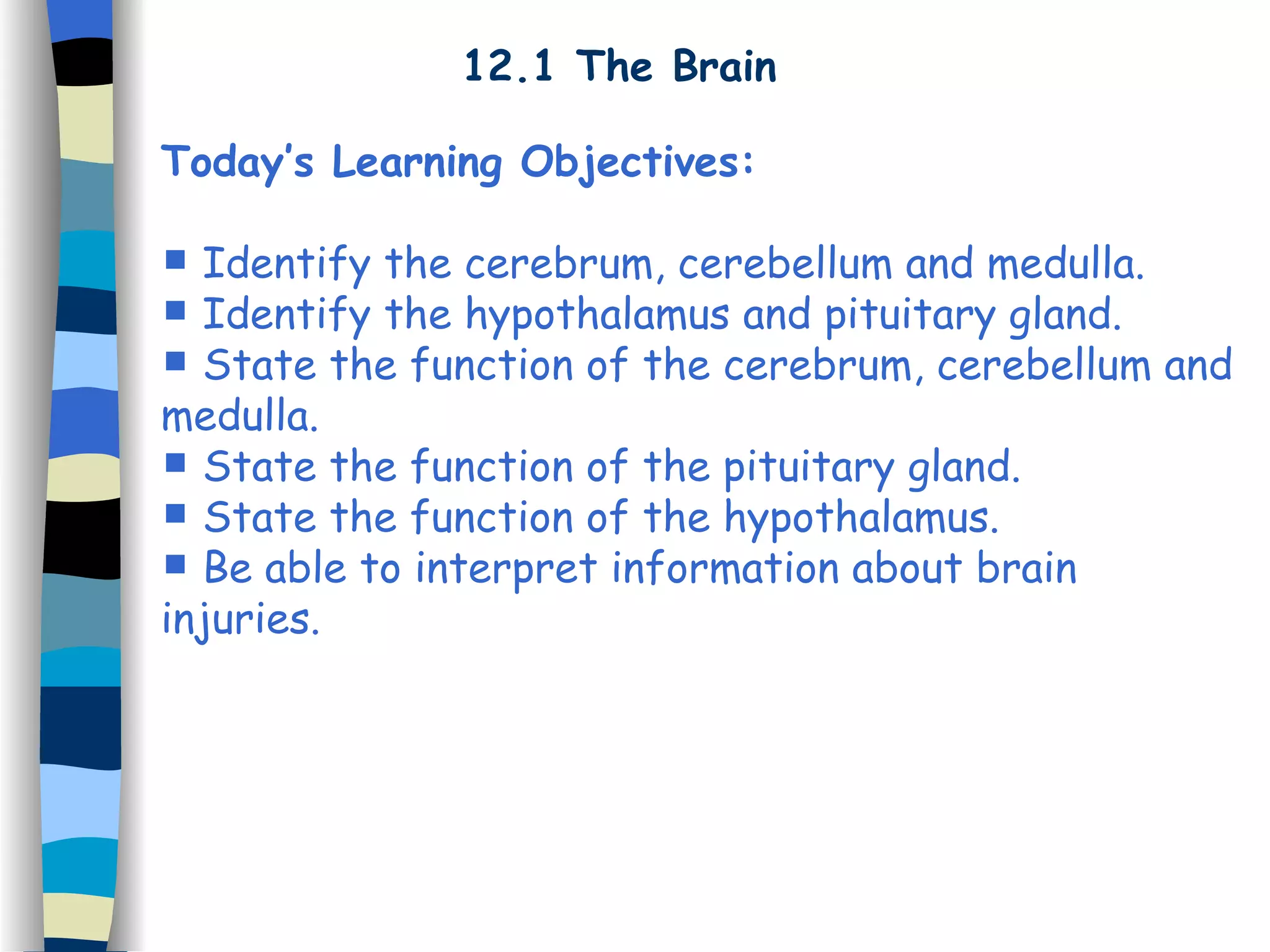 Nervous System | PPT