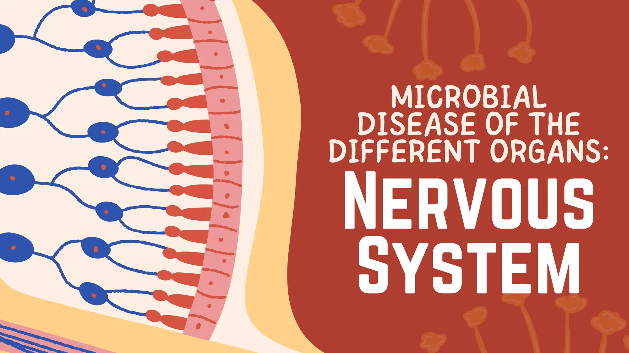 The Bacterial and Viral Infections of the Nervous System | PDF