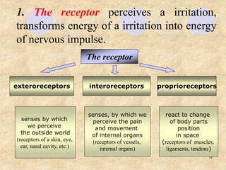 Nervous-system.-Spinal-cord_Nerve senters.pdf