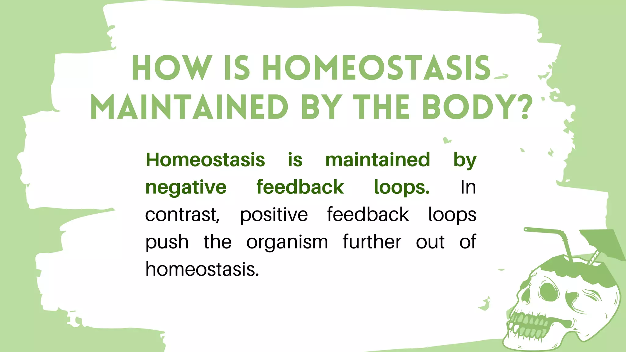 Nervous System and Homeostasis | PDF | Brain and Nervous System ...
