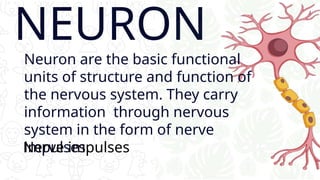 NERVOUS-SYSTEM-AND-NEURONS with its part.pptx