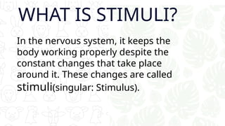 NERVOUS-SYSTEM-AND-NEURONS with its part.pptx