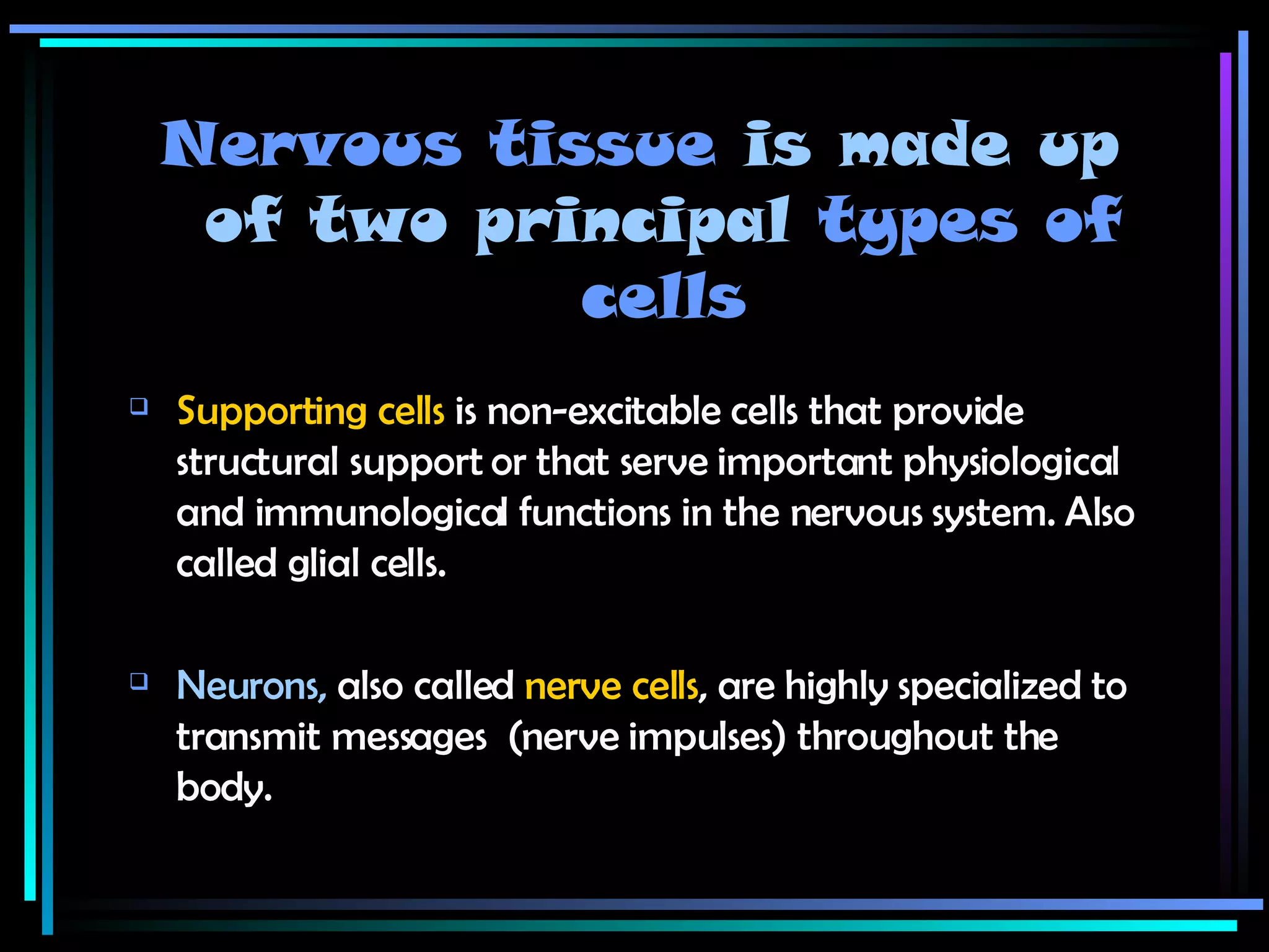 Nervous System (Group2) Final | PPT