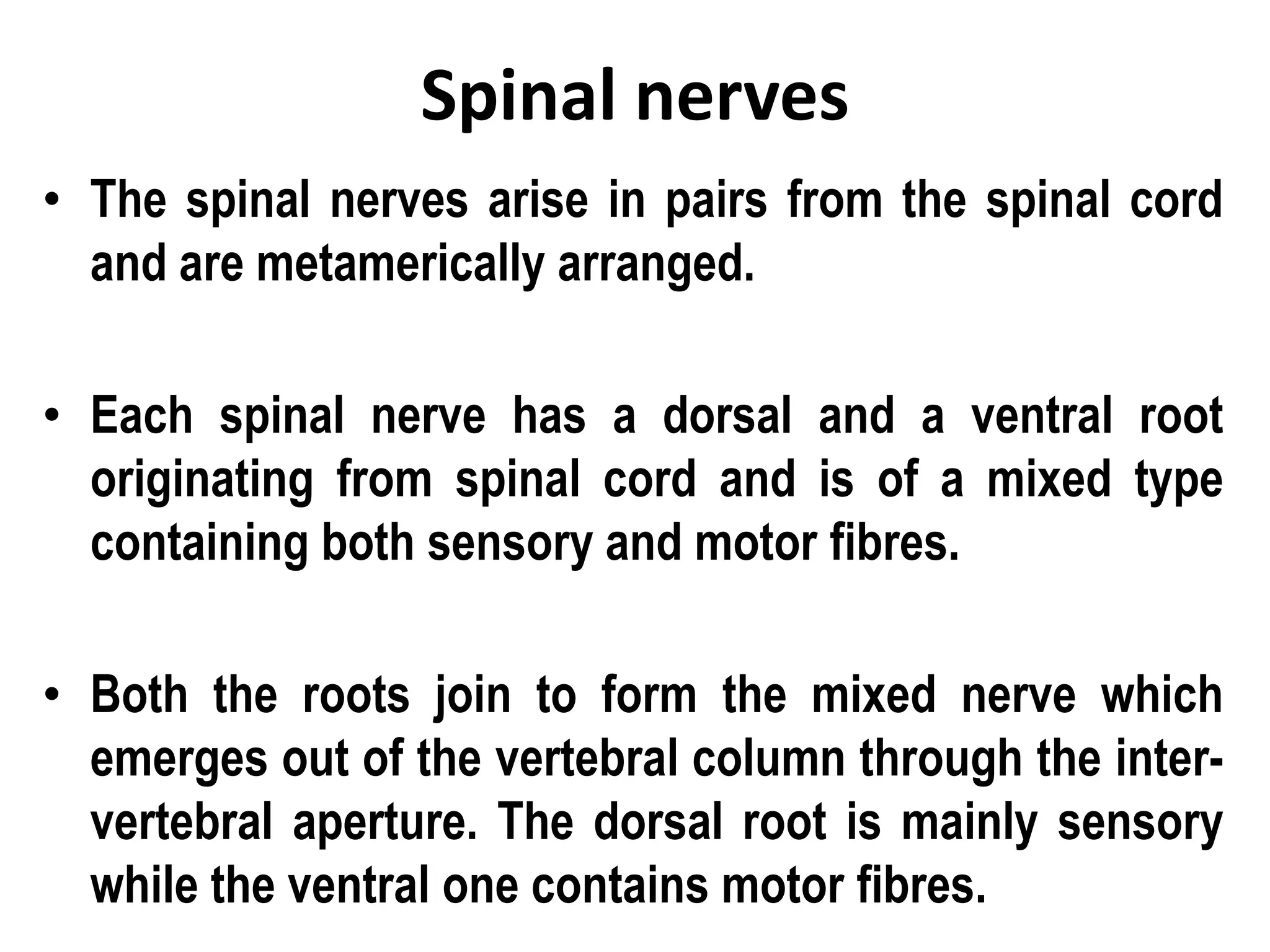 Nervous-System-in-Finfishes.pdf