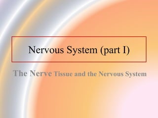 Nervous-System-Part-1.pdf of human body mbbs | PPT