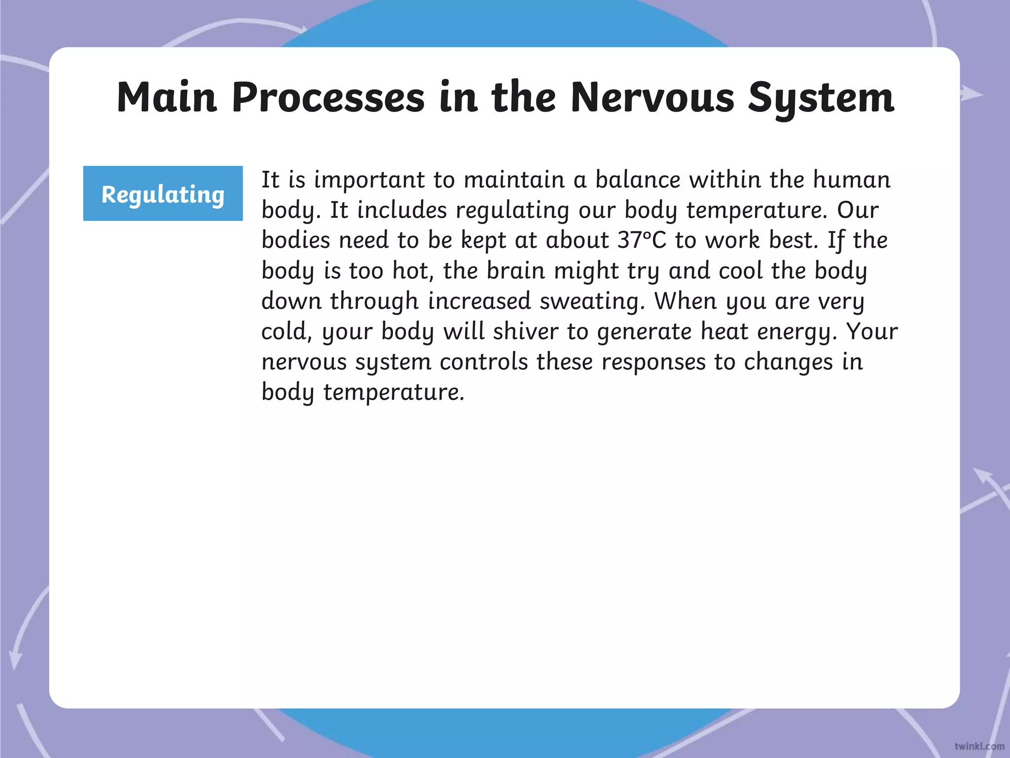 -nervous-system-powerpoint_ver_4 (1).pptx | Brain and Nervous System ...