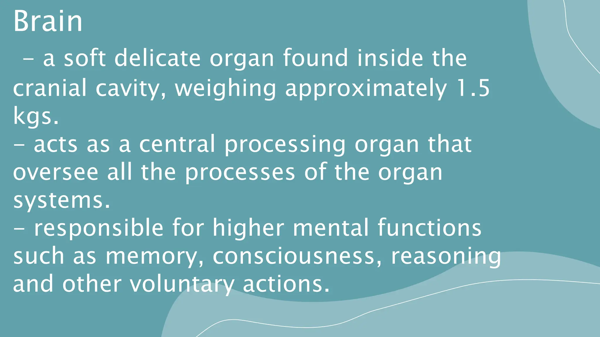 G10 Quarter 3 Nervous-System Powerpointp | PPTX