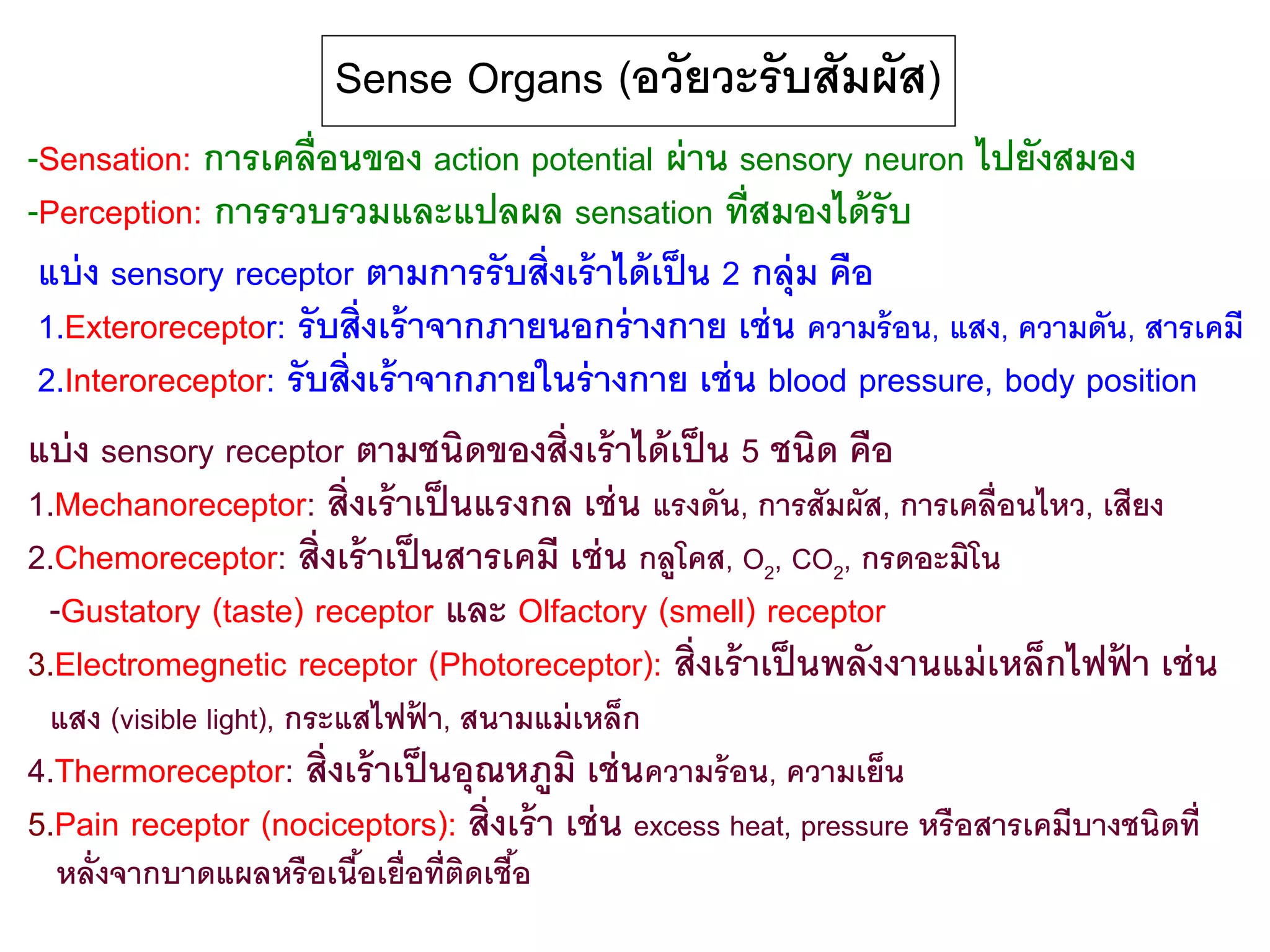 ชีววิทยาเรื่องระบบประสาท Nervous system | PDF