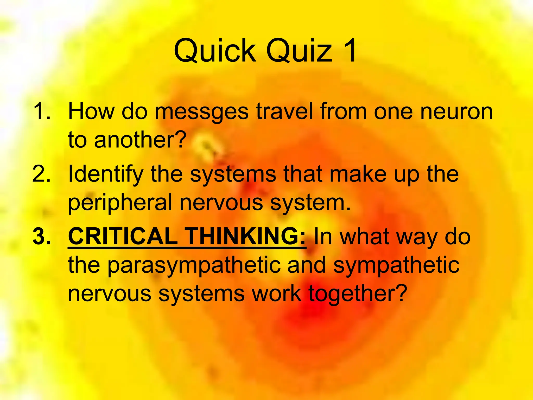The Nervous and Human Brain powerpoint presentation | PPT