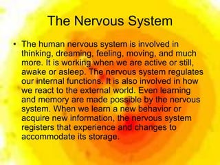 The Nervous and Human Brain powerpoint presentation | PPT