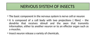 NERVOUS AND CIRCULATORY SYSTEM OF INSECT.pptx