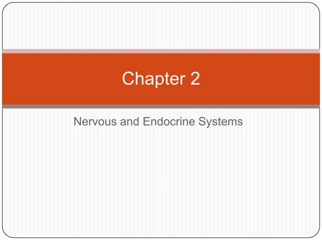 Nervous and endocrine system | PPT