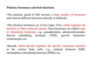 Nervous and Endocrine System of Fishes.pdf