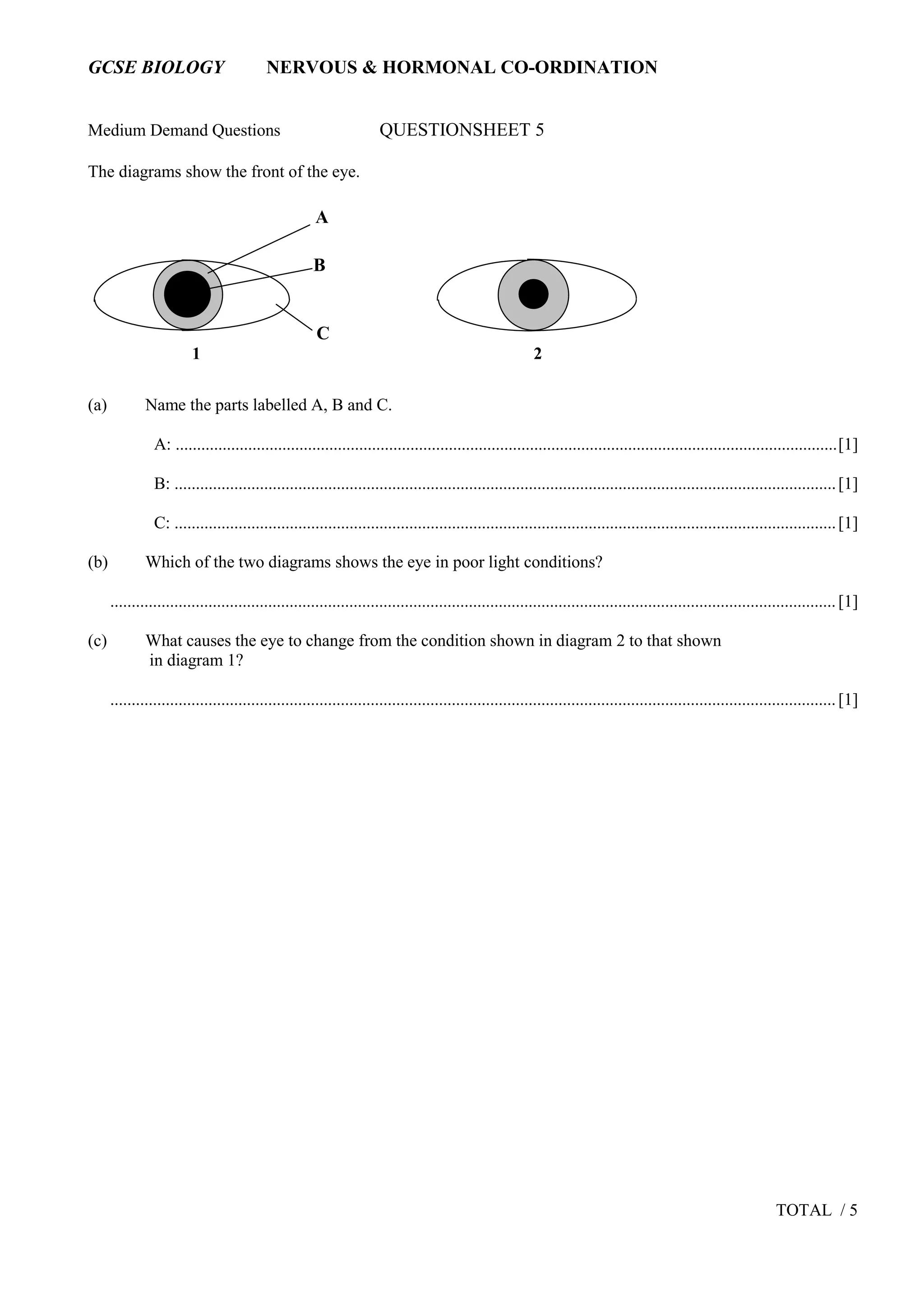 Nervous and eye questions paper for test | PDF