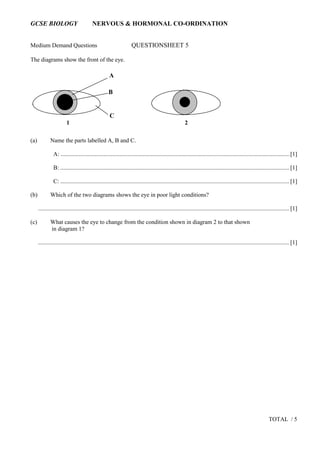 Nervous and eye questions paper for test | PDF