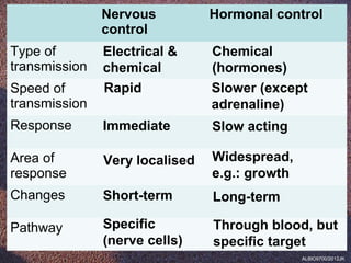 02 Nervous and Hormonal Communication | PPT