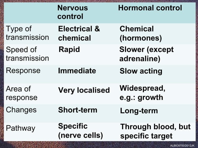 02 Nervous and Hormonal Communication | PPT