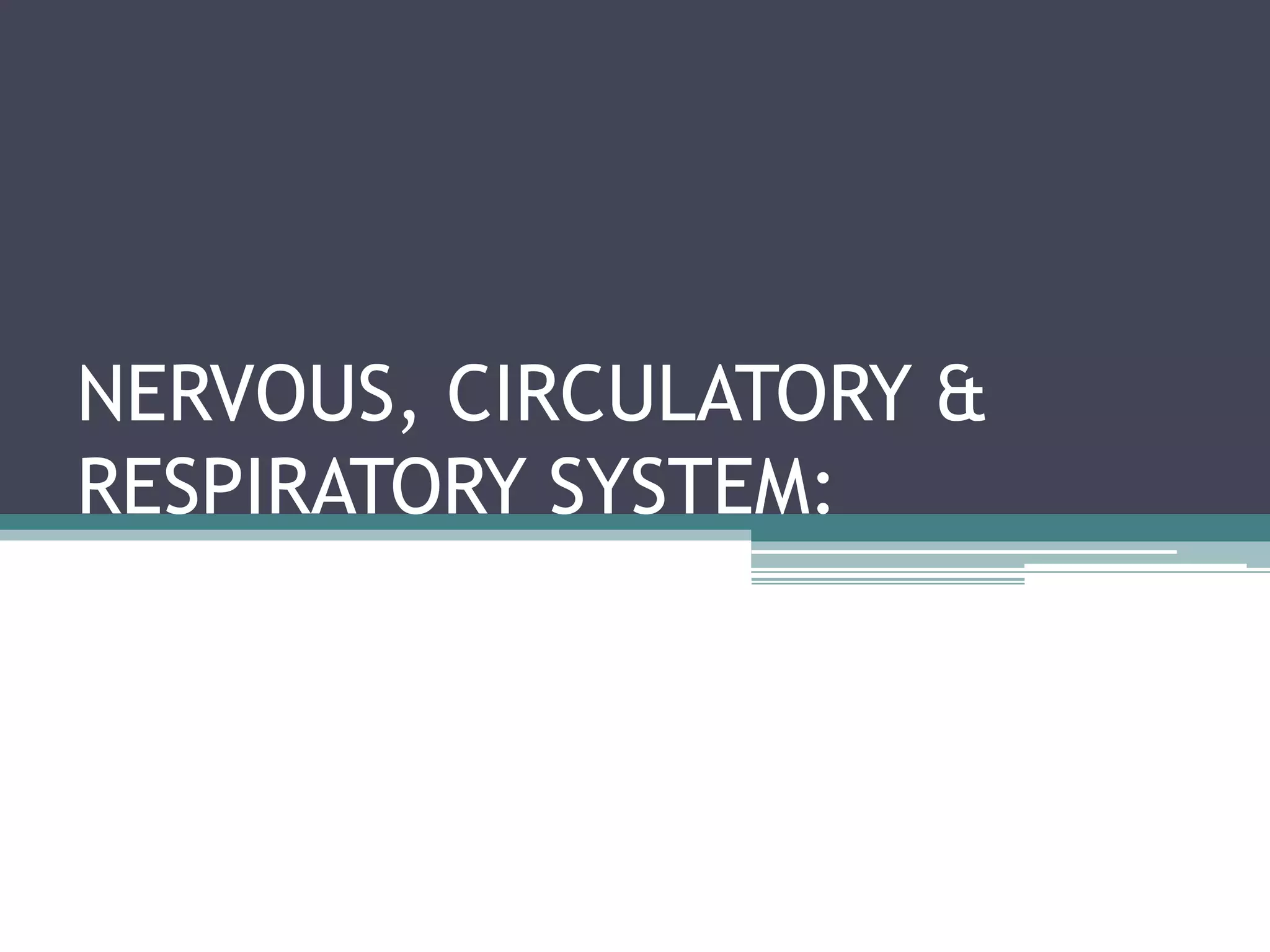Nervous, circulatory and respiratory system | PPTX