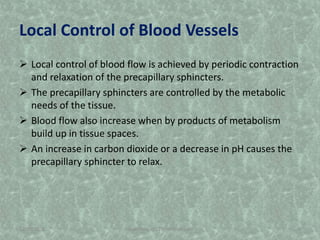Nervous control of blood vessels regulation of arterial pressure | PPTX