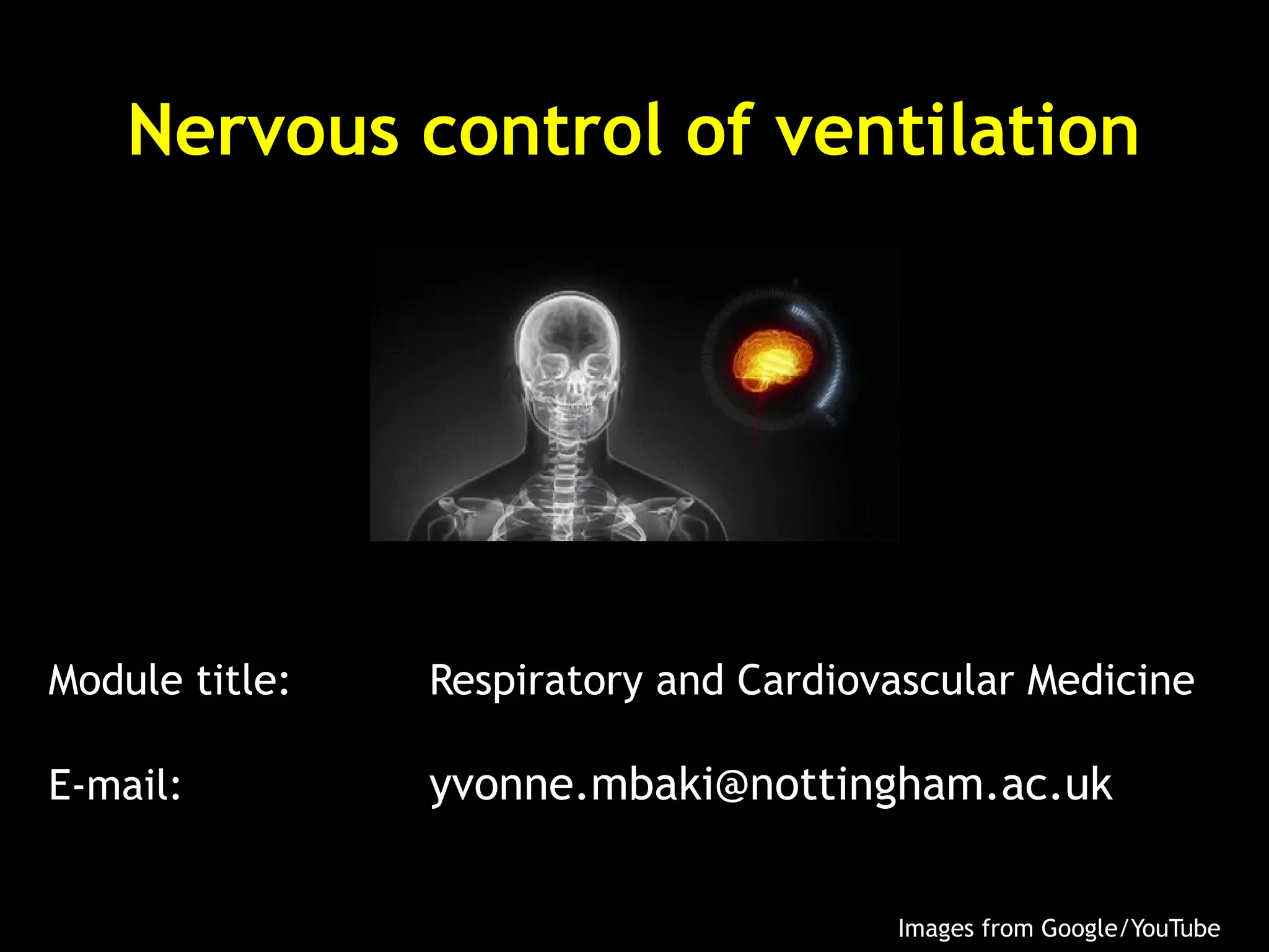 Nervous control of ventilation- key nerves and how they control ...