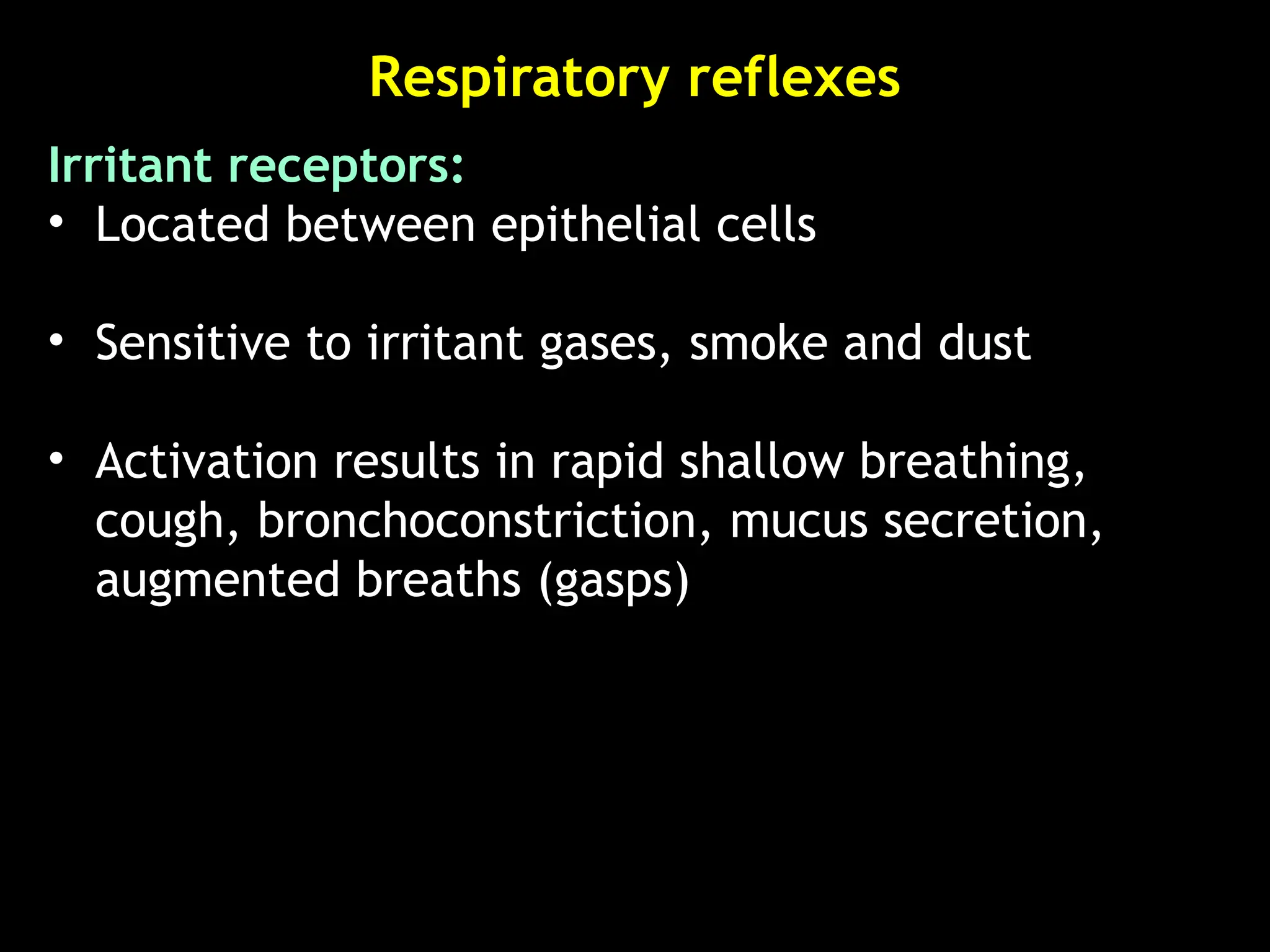 Nervous control of ventilation- key nerves and how they control ...