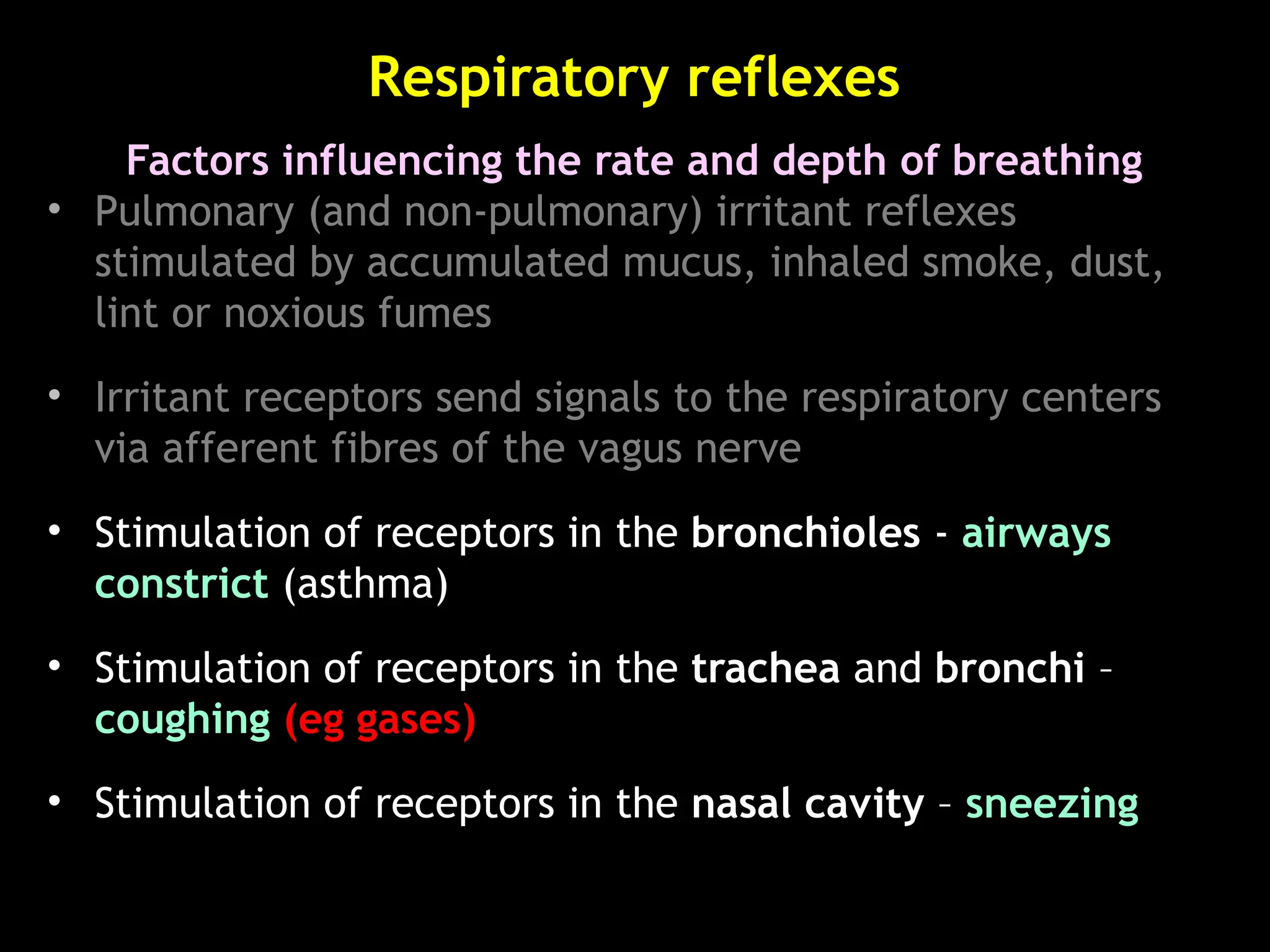 Nervous control of ventilation- key nerves and how they control ...