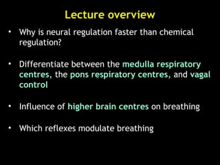 Nervous control of ventilation- key nerves and how they control ...