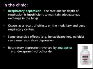 Nervous control of ventilation- key nerves and how they control ...