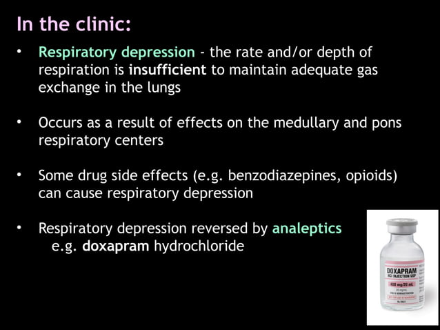 Nervous control of ventilation- key nerves and how they control ...