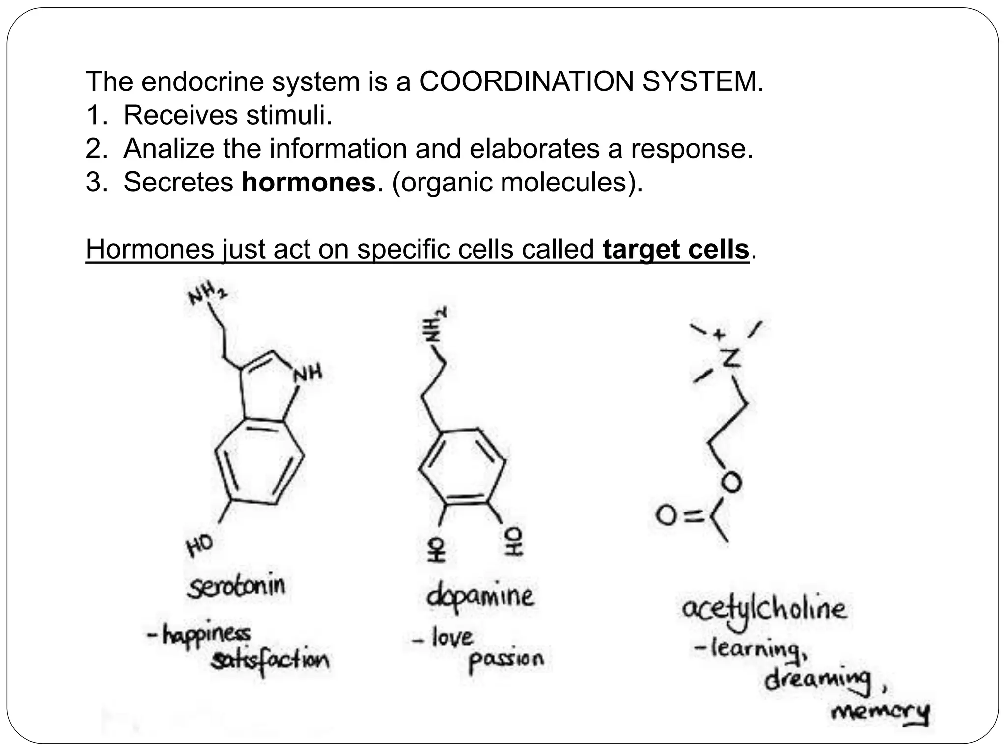 Nervous and endocrine systems. | PPTX