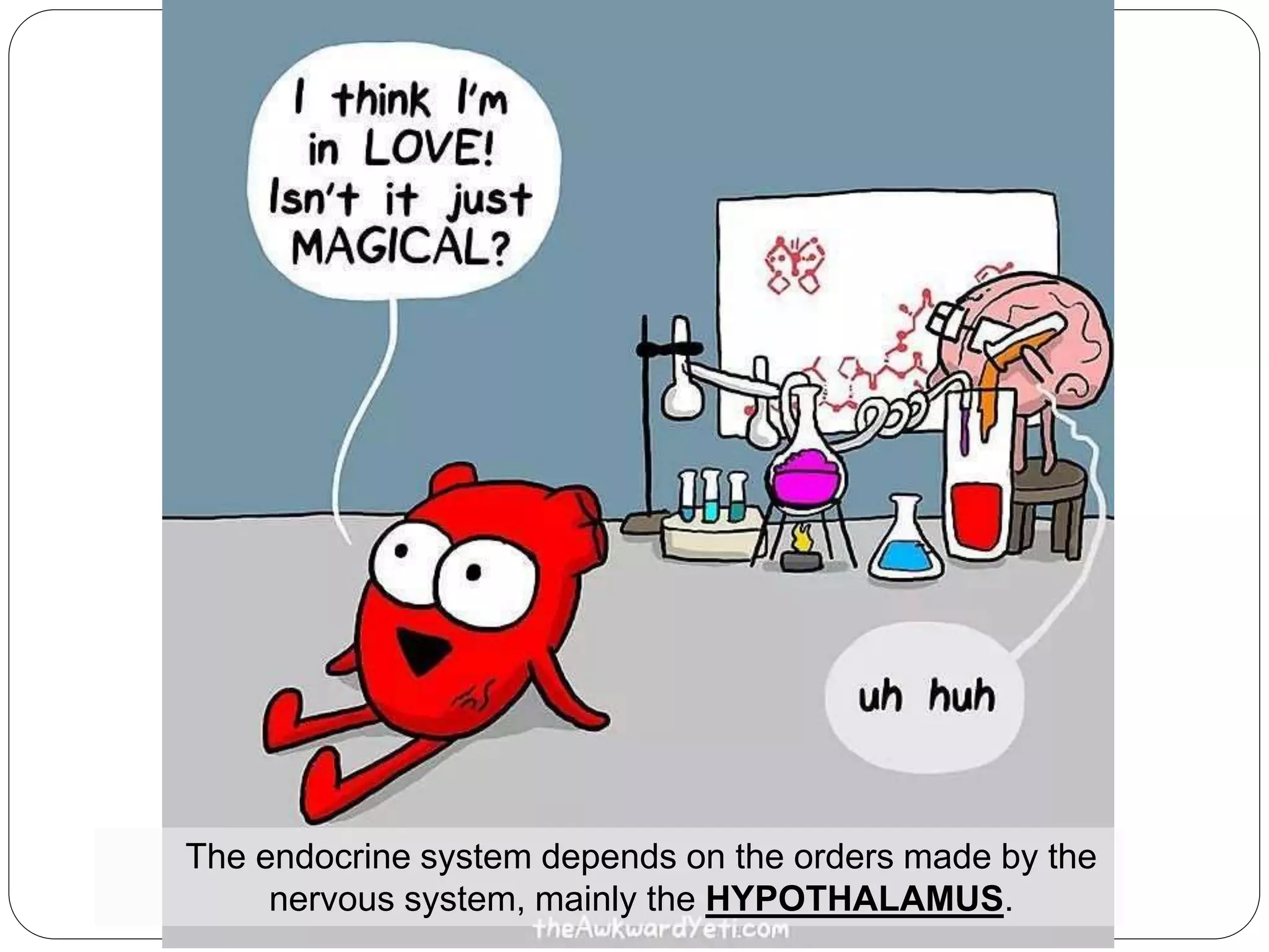 Nervous and endocrine systems. | PPTX