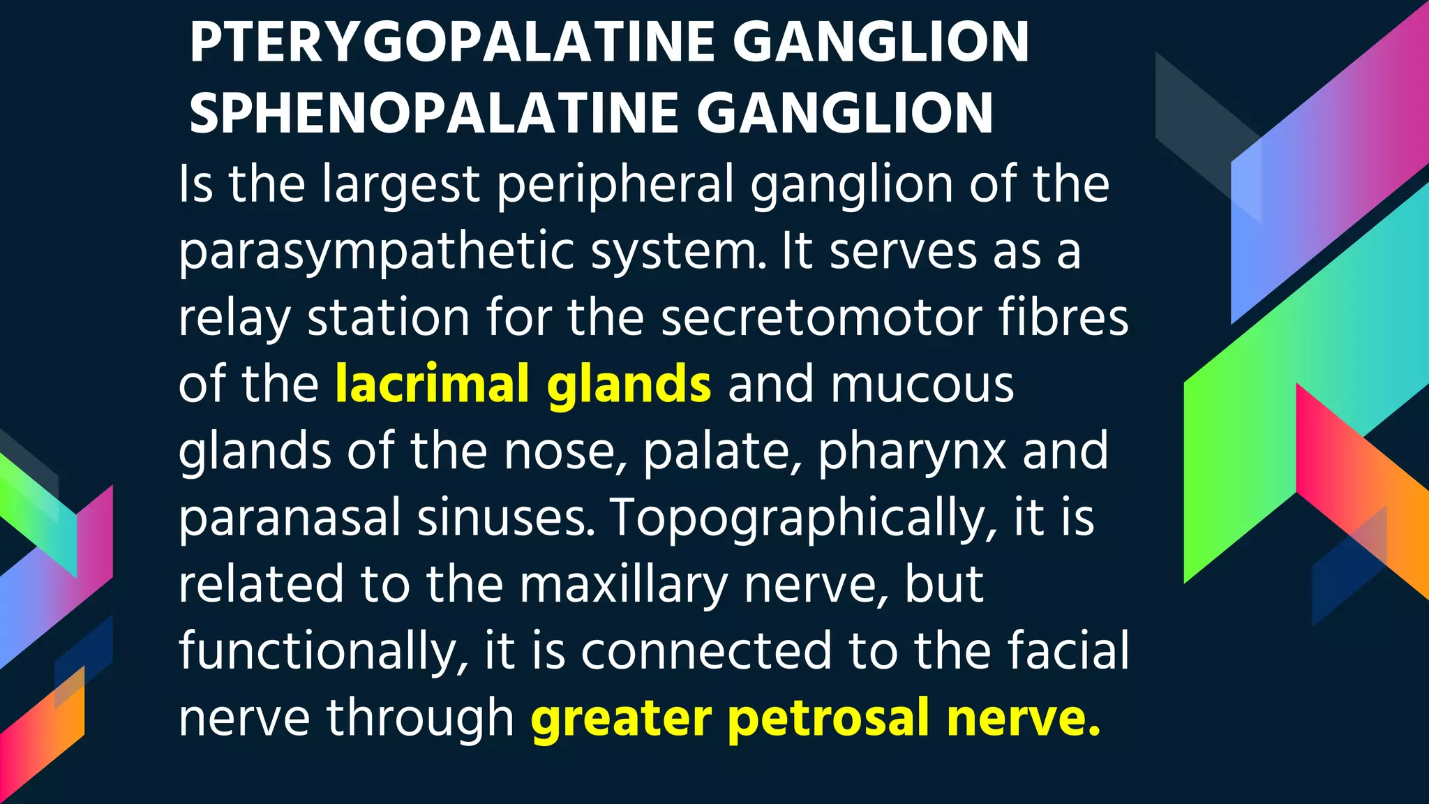 Nervouse system chapter two | PPTX