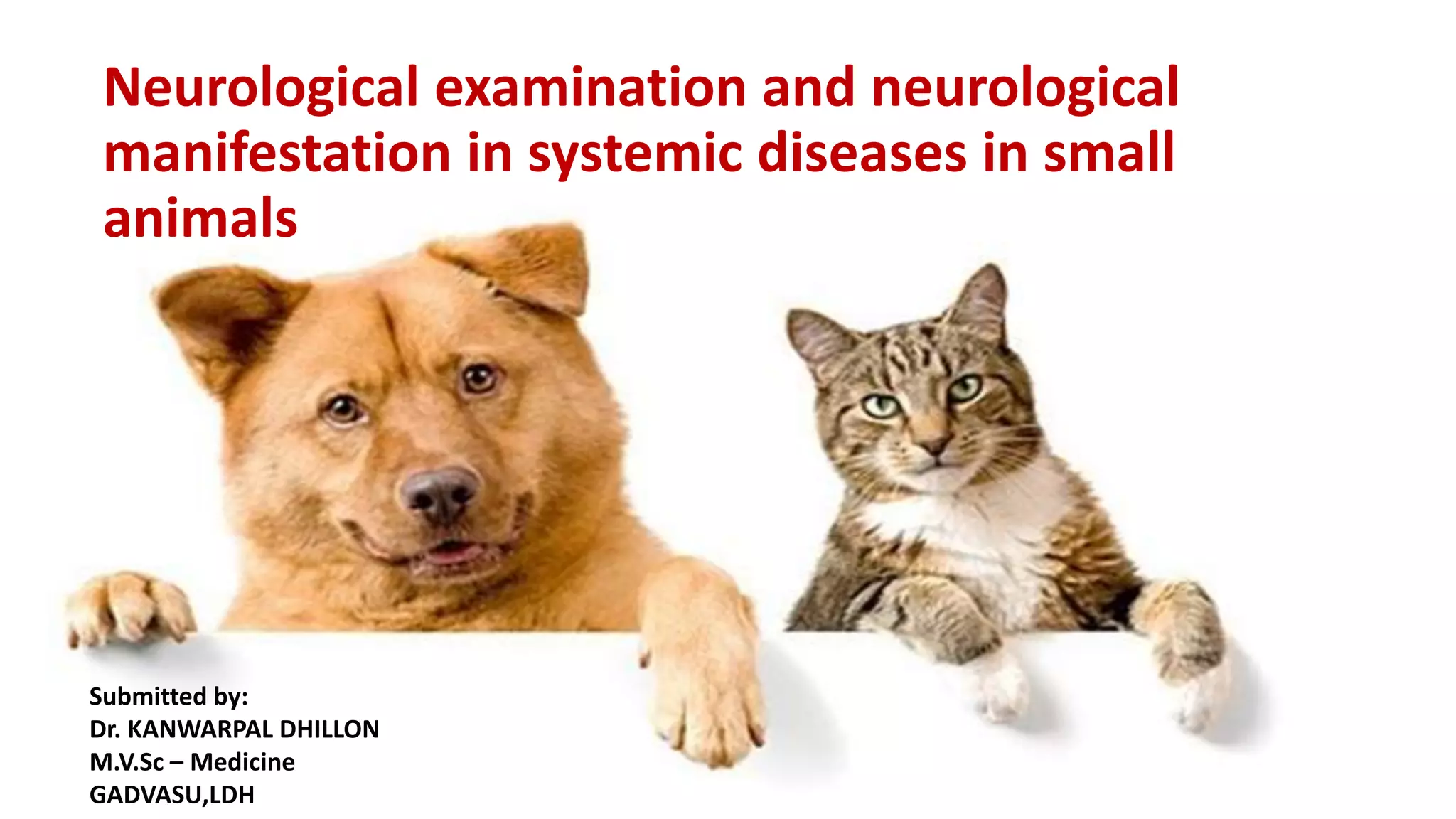 Nervous examination in small animal | PPTX