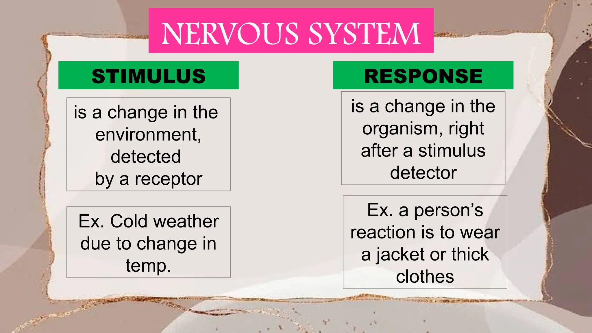 NERVOUS SYSTEM INTRODUCTION - SCIENCE 10 | PPTX