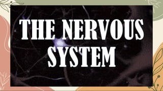 NERVOUS SYSTEM INTRODUCTION - SCIENCE 10 | PPTX