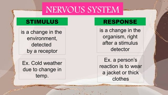 NERVOUS SYSTEM INTRODUCTION - SCIENCE 10 | PPTX