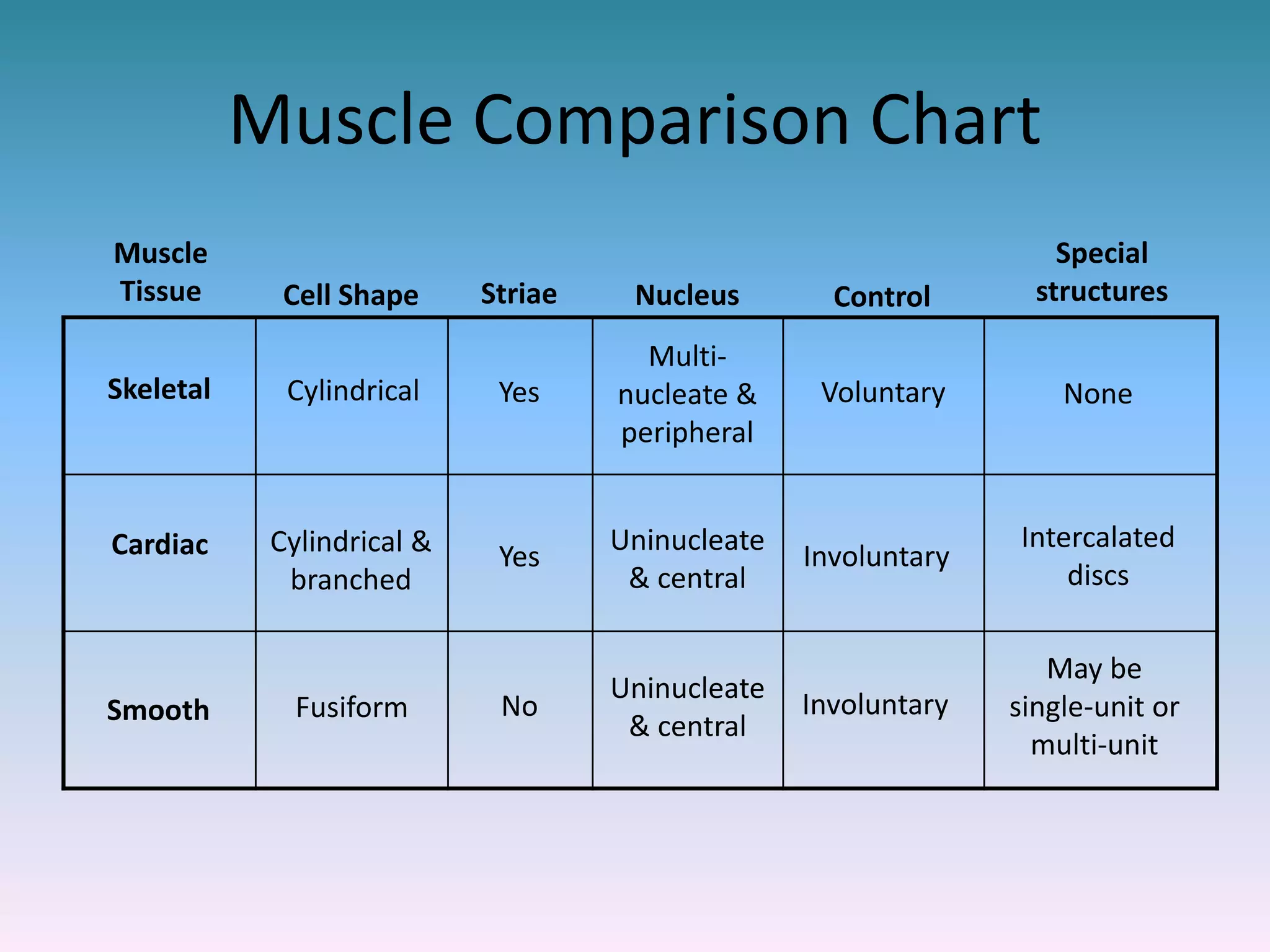 System of nerve, blood and muscle | PPTX