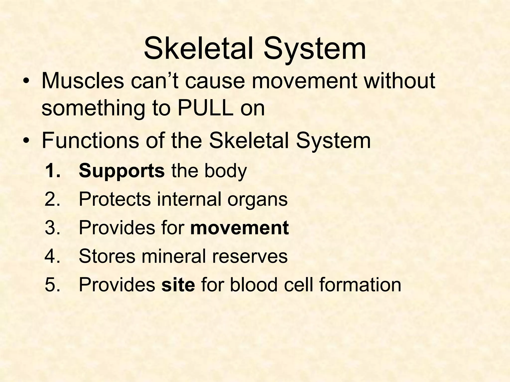 Nervous_MusclesSkeleton.ppt