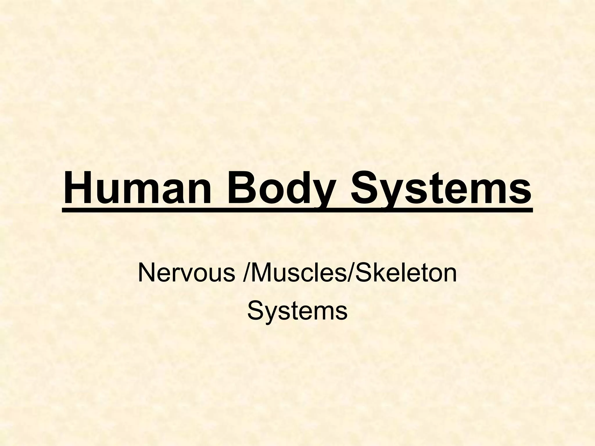 Nervous_MusclesSkeleton.ppt