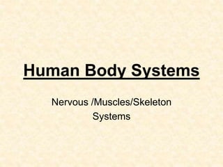Nervous_MusclesSkeleton.ppt