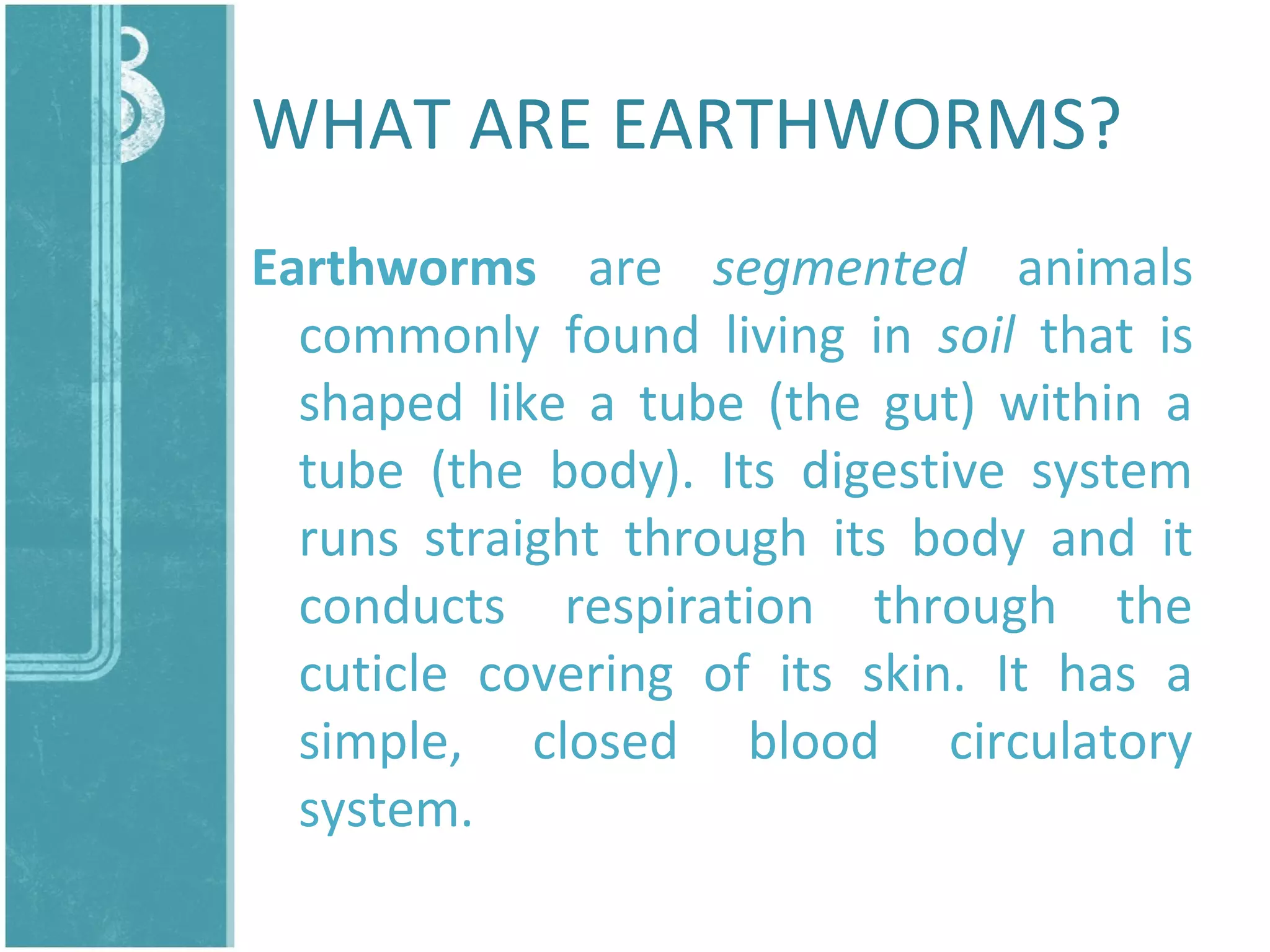 Nervous Reponses of an Earthworm | PPT