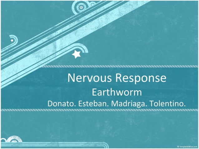Nervous Reponses of an Earthworm | PPT | Brain and Nervous System ...
