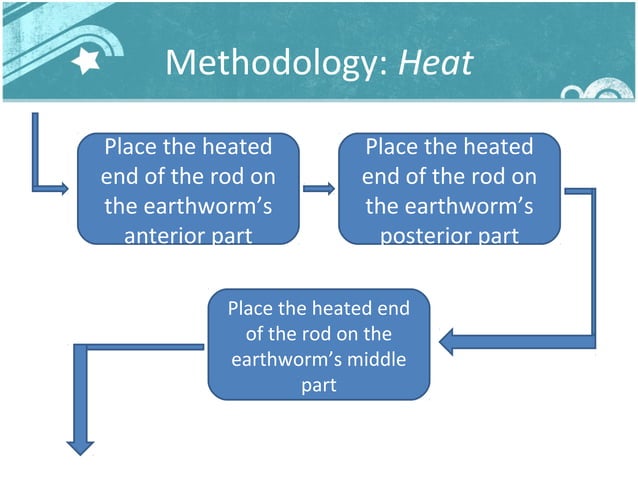 Nervous Reponses of an Earthworm | PPT | Brain and Nervous System ...