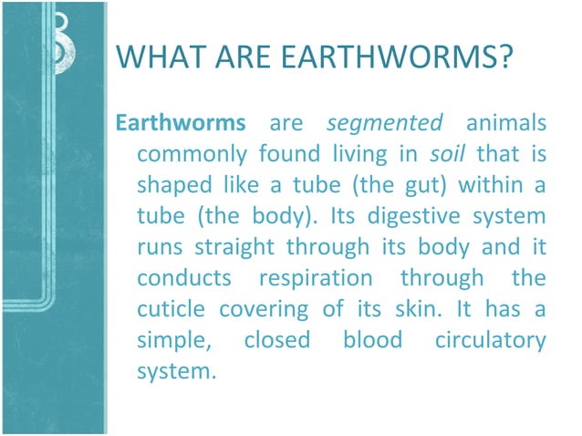 Nervous Reponses of an Earthworm | PPT | Brain and Nervous System ...