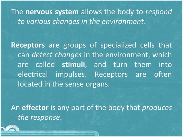 Nervous Reponses of an Earthworm | PPT | Brain and Nervous System ...