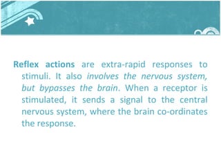 Nervous Reponses of an Earthworm | PPT